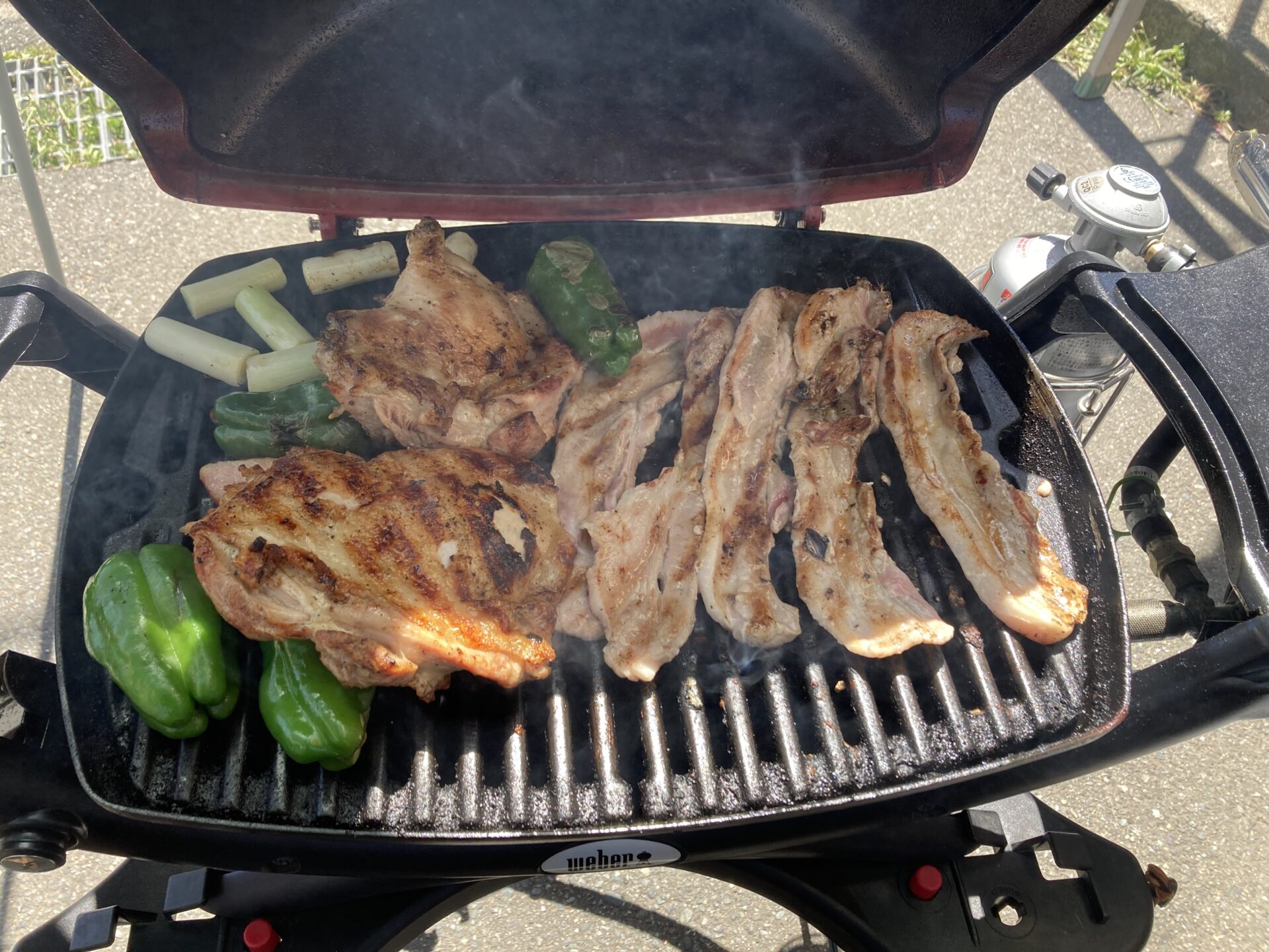 Weber Q1250 かゆいところに手が届くレビュー - 児童書ナビ たっちゃんブログ